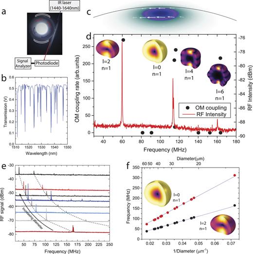 Contactless characterization of the elastic properties of glass ...
