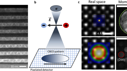 Multiscale electric-field imaging of polarization vortex structures in ...