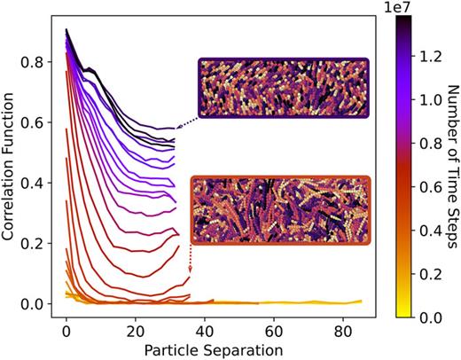 Toward new liquid crystal phases of DNA mesogens | APL Materials | AIP ...