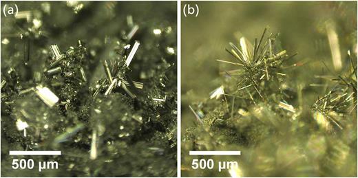CrB-type, ordered α-MnB: Single crystal structure and spin-canted ...