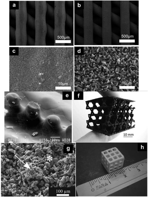 Additive manufacturing of polymer derived ceramics: Materials, methods ...