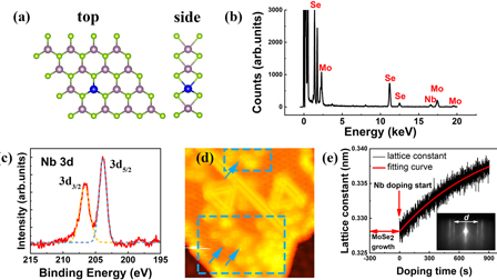 Niobium and rhenium doping in MoSe2 monolayer during molecular beam ...
