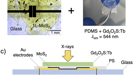 Demonstrating the high sensitivity of MoS2 monolayers in direct x-ray ...