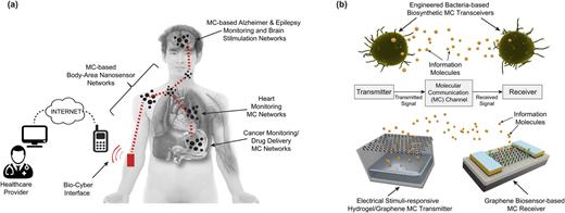 Graphene and related materials for the Internet of Bio-Nano Things ...