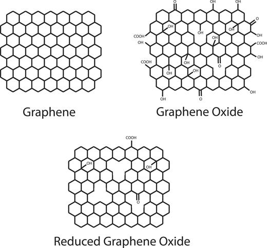 Graphene and related materials for the Internet of Bio-Nano Things ...