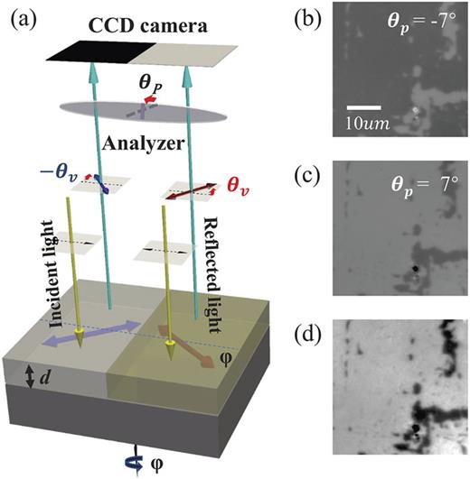 Perspective on imaging antiferromagnetic domains in thin films with the ...