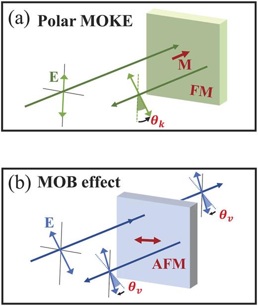 Perspective on imaging antiferromagnetic domains in thin films with the ...