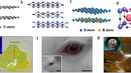 Recent advances in bioinspired vision sensor arrays based on advanced ...