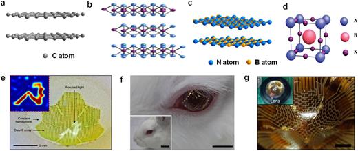 Recent advances in bioinspired vision sensor arrays based on advanced ...