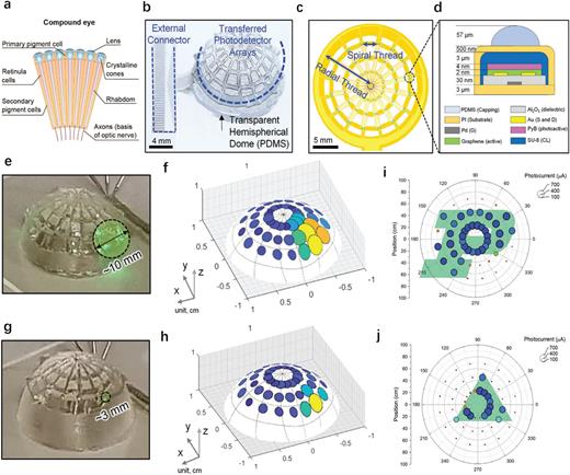 Recent advances in bioinspired vision sensor arrays based on advanced ...