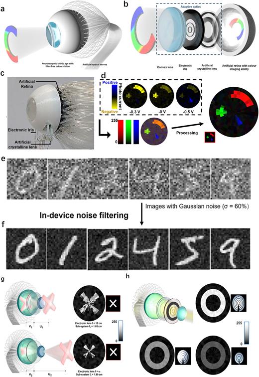 Recent advances in bioinspired vision sensor arrays based on advanced ...