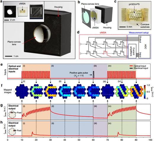 Recent advances in bioinspired vision sensor arrays based on advanced ...