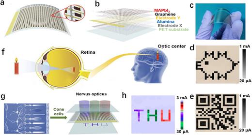Recent advances in bioinspired vision sensor arrays based on advanced ...