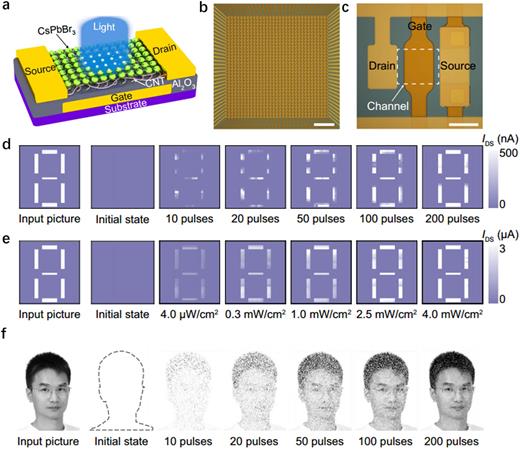 Recent advances in bioinspired vision sensor arrays based on advanced ...