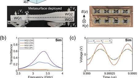 Perfect pulse filtering under simultaneous incidence at the same ...