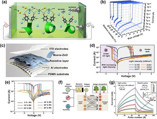 A review on device requirements of resistive random access memory (RRAM ...