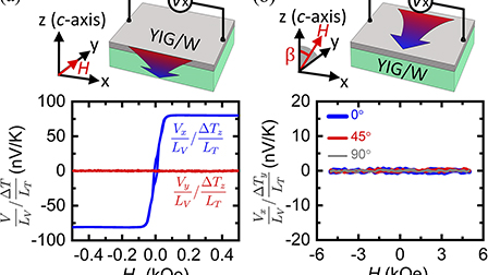 Vector spin Seebeck effect and spin swapping effect in ...