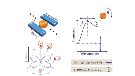 Evidence of zero group velocity at the lowest dispersion branch through ...