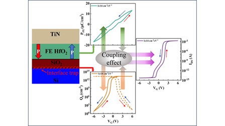 Coupling effects of interface charge trapping and polarization switching in HfO2-based ...