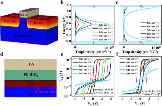 Coupling effects of interface charge trapping and polarization switching in HfO2-based ...