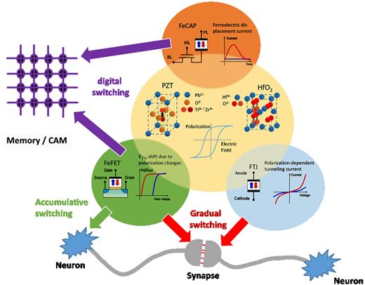 Roadmap to neuromorphic computing with emerging technologies | APL ...