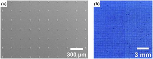 High-yield Micro-LED laser transfer accomplished using an ablation-type ...