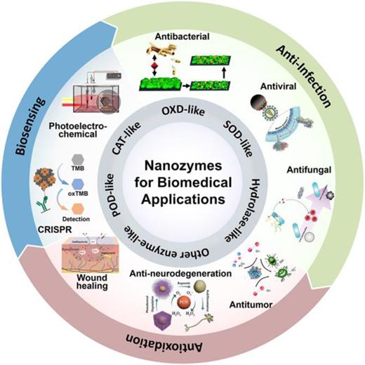 Nanozymes for biomedical applications | APL Materials | AIP Publishing