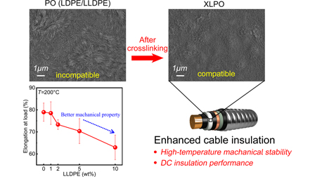The XLPO cable insulation with synchronous-enhanced DC electrical and ...