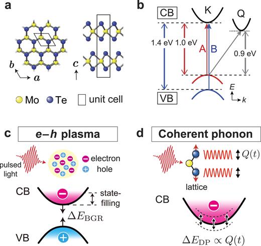 Coherent optical response driven by non-equilibrium electron–phonon ...