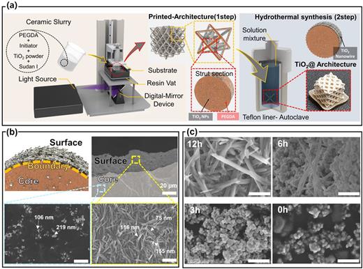 Robust catalyst 3D microarchitectures by digital light printing with ...