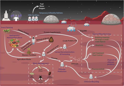 On Mars as it is on Earth: Bioinspired technologies for sustainability ...
