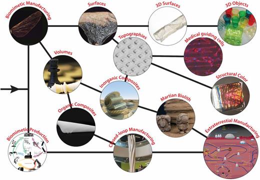 On Mars as it is on Earth: Bioinspired technologies for sustainability ...