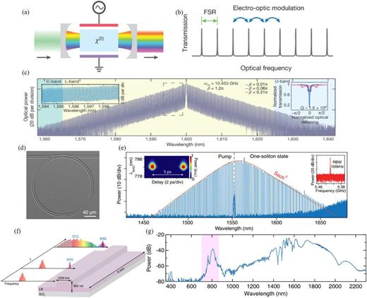 Fabrication and photonic applications of Si-integrated LiNbO3 and BaTiO3 ferroelectric thin ...