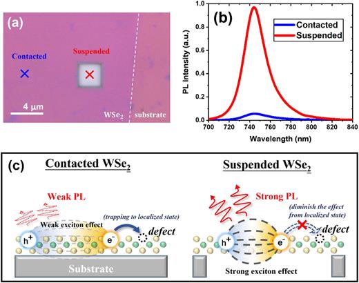 Sustained robust exciton emission in suspended monolayer WSe2 within ...