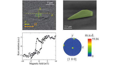 Single-crystalline YIG flakes with uniaxial in-plane anisotropy and ...