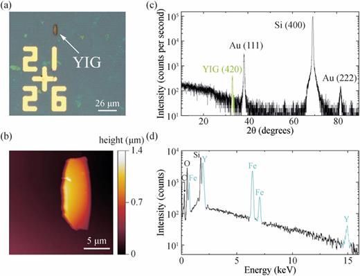 Single-crystalline YIG flakes with uniaxial in-plane anisotropy and ...