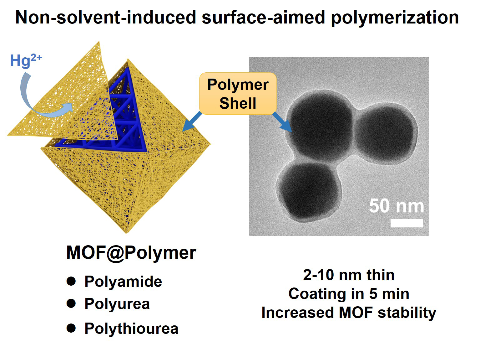 Rapid coating of polyamide, polyurea, and polythiourea on metal–organic ...