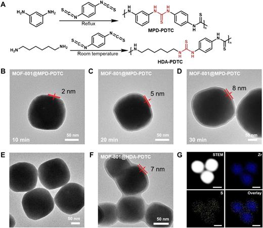 Rapid coating of polyamide, polyurea, and polythiourea on metal–organic ...