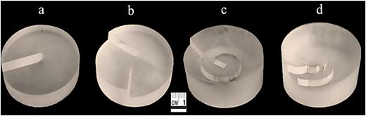 Underwater double vortex generation using 3D printed acoustic lens and ...