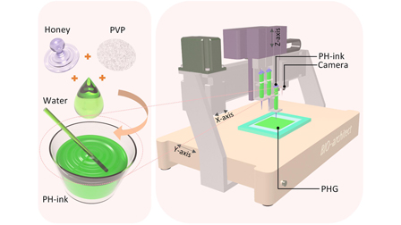 3D printed polyvinylpyrrolidone–honey-gel with adhesive and degradable ...