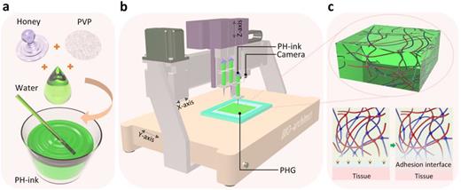 3D printed polyvinylpyrrolidone–honey-gel with adhesive and degradable ...