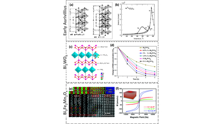 A new class of single-phase multiferroics: Bismuth-based layered ...