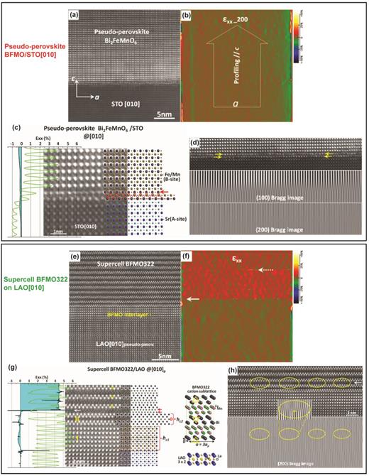 A new class of single-phase multiferroics: Bismuth-based layered ...