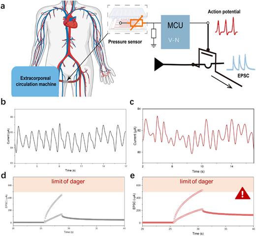 Artificial tactile system for pressure monitoring in extracorporeal ...