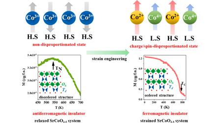 High-temperature insulating ferromagnetic state in charge ...