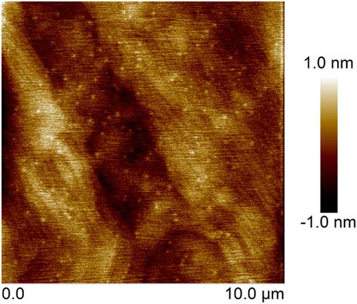 Two-dimensional electron gases in AlYN/GaN heterostructures grown by ...