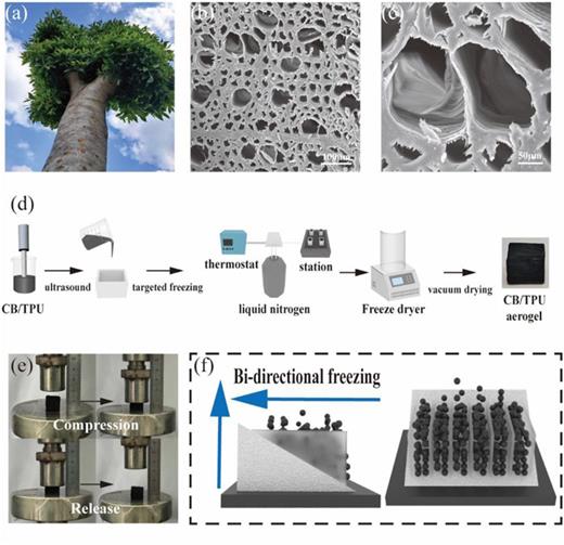 Nature-inspired wood-like TPU/CB aerogels for high performance flexible ...