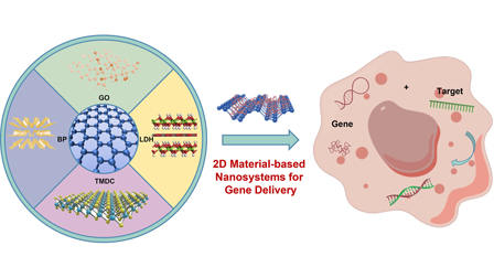 Recent advances on two-dimensional material-based nanosystems for gene ...