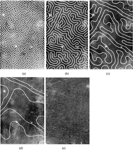 Magnetic domain wall pinning and depinning in DyFeO3 single crystal ...