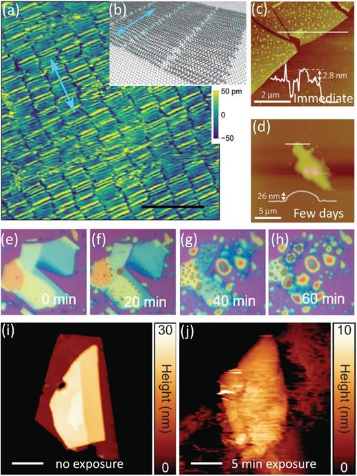 Fabrication of pristine 2D heterostructures for scanning probe ...